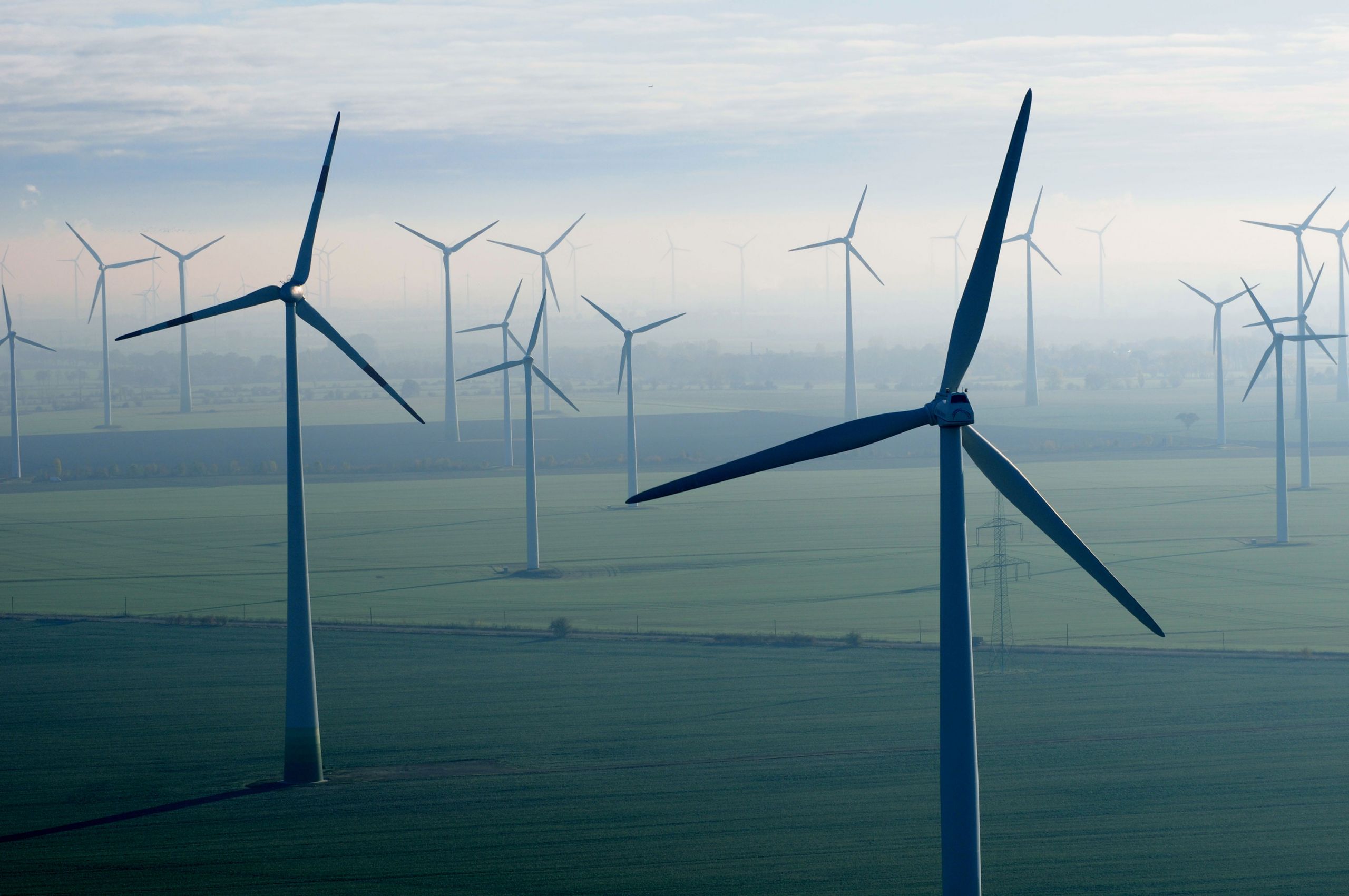 wpd Group : wpd.is/en